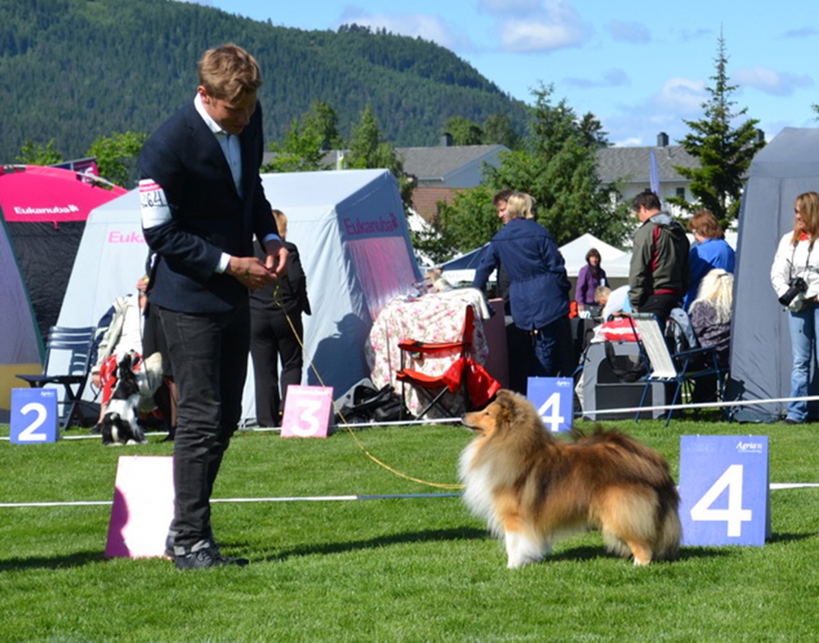 SHOWS 2012 – Belmara